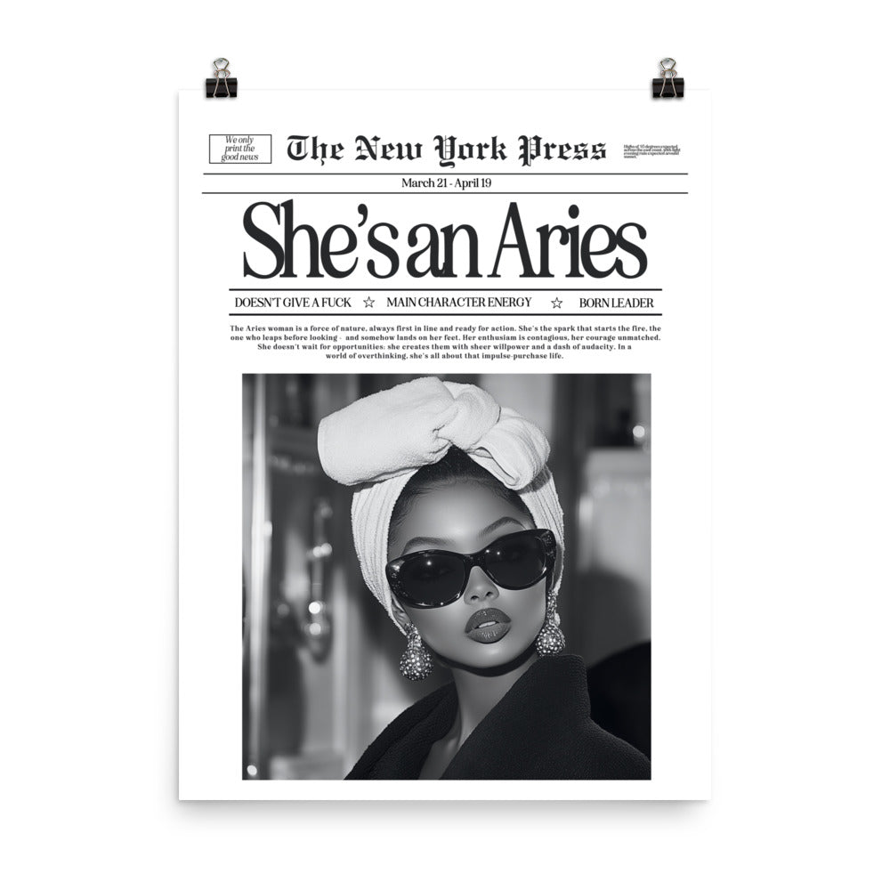 Poster – The Art Snob